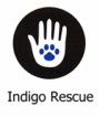 Indigo Rescue