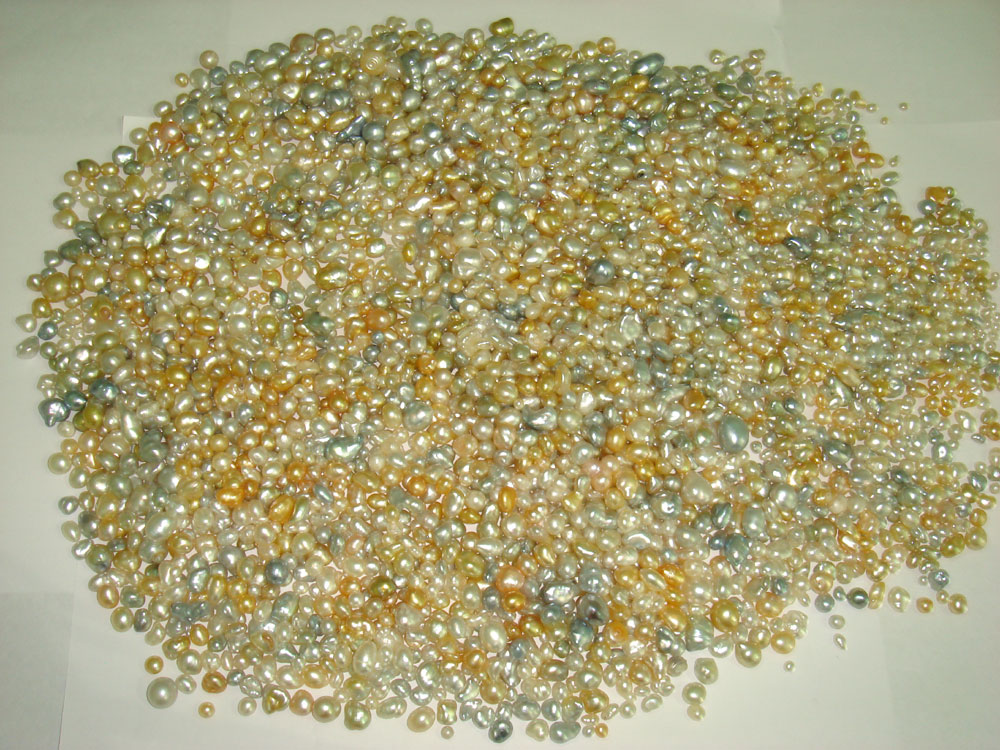 Keshi pearls auction from Lombok island Indonesia