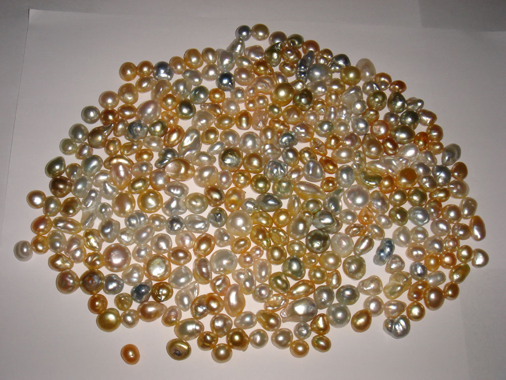 Keshi pearls auction from Lombok island Indonesia