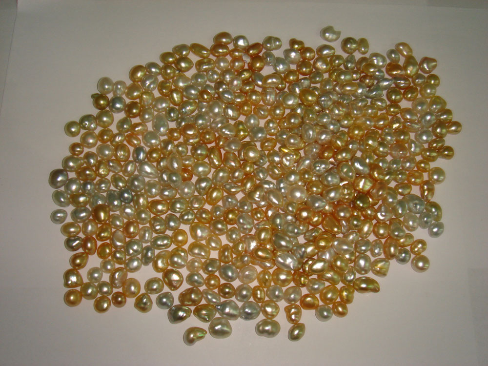 Keshi pearls auction from Lombok island Indonesia