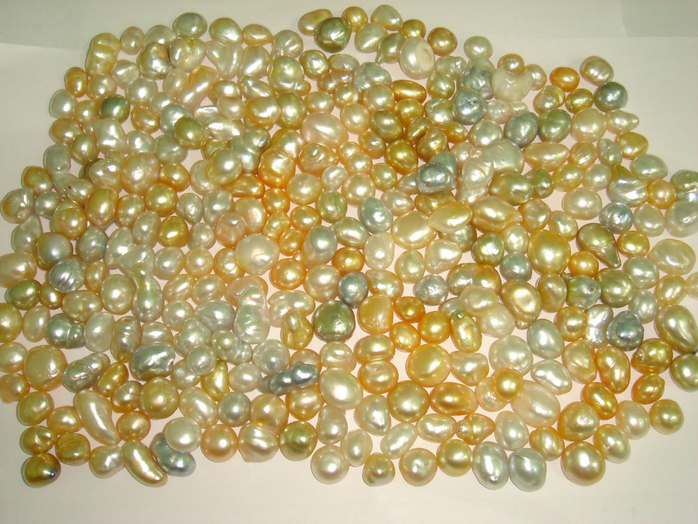 Keshi pearls auction from Lombok island Indonesia