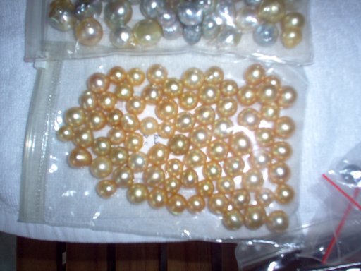 Cultured Golden south sea pearls Lombok Indonesia