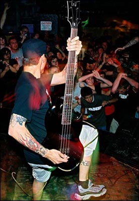 ==InnergardeN Version 1.0== | ray cappo