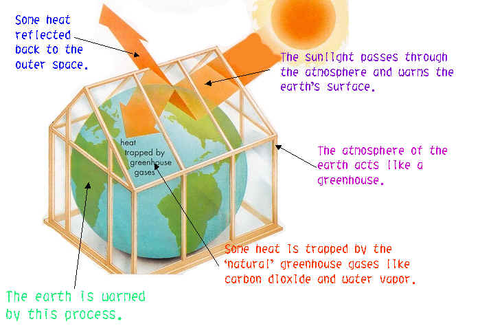 greenhouse effect1