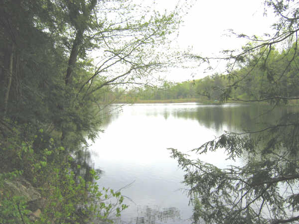 IVES TRAIL GREENWAY