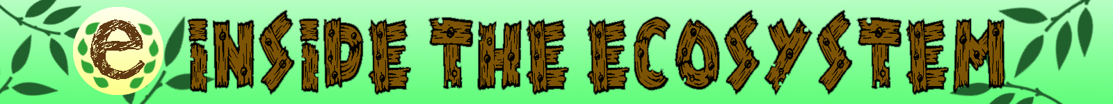 Inside The Ecosystem