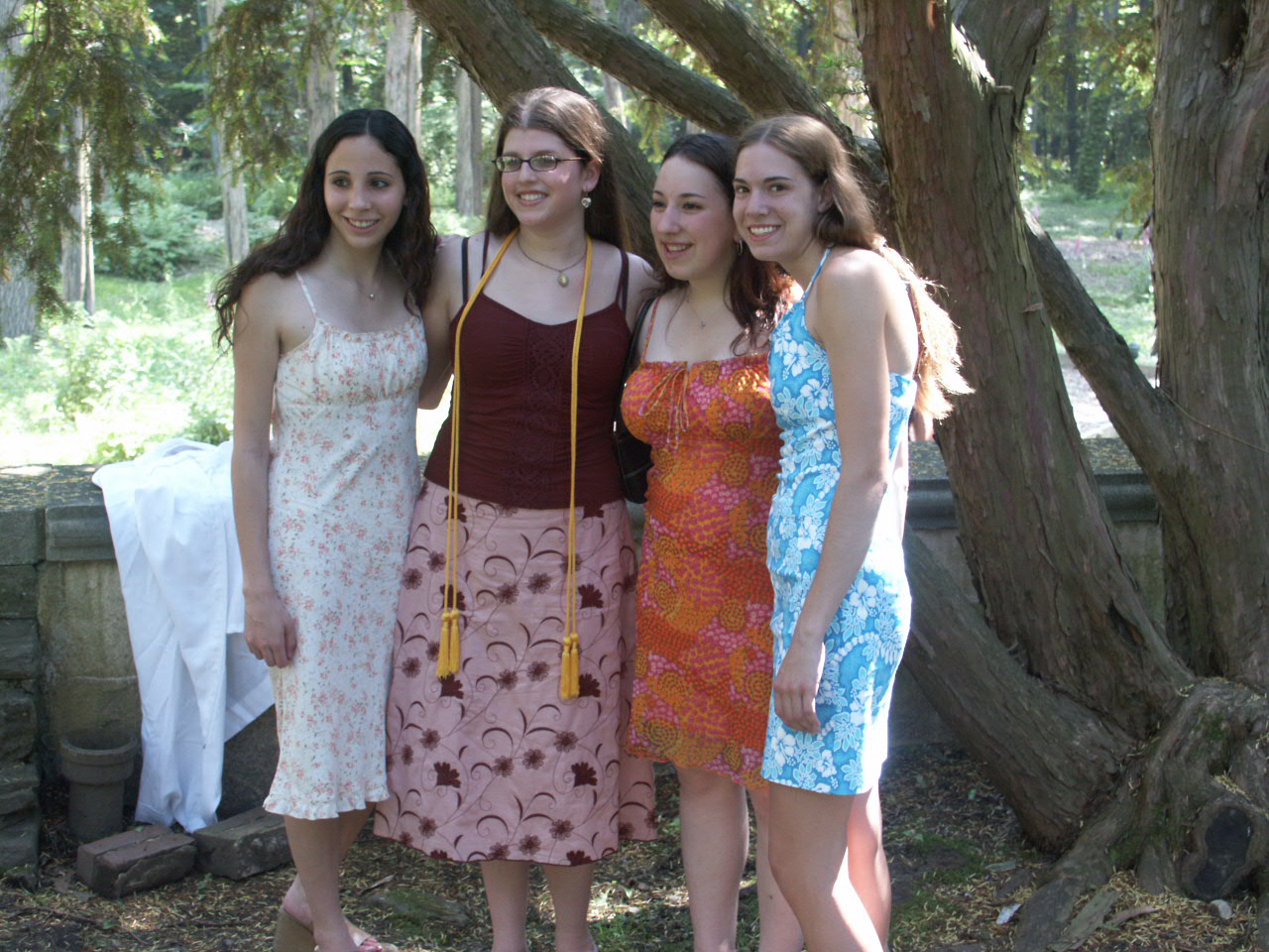 FLHS2003