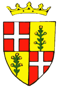 History Of the Knights of Malta