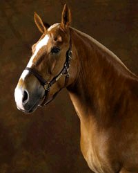 Jim Melanson - Brigadier, February 24th, 2006