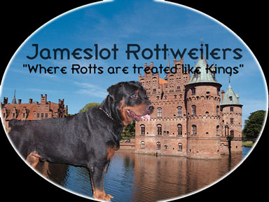 Jameslot Rottweilers