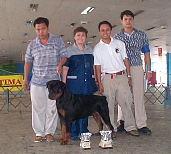 Jameslot Rottweilers