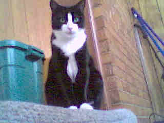 index [www.geocities.ws]