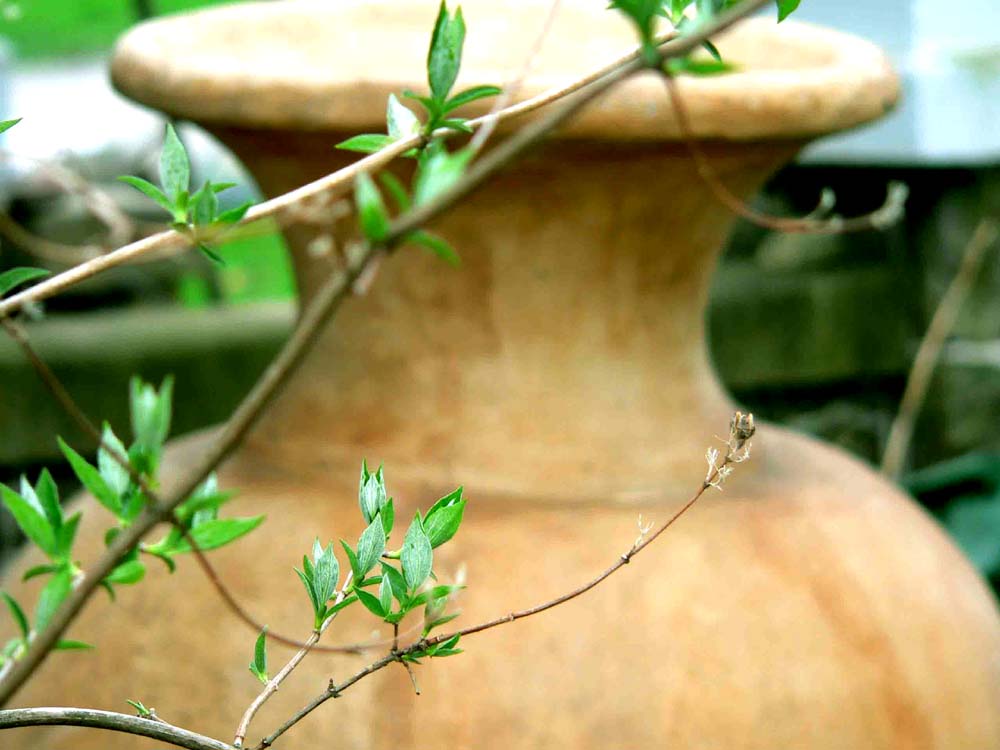 flower-smicksburg-pottery1