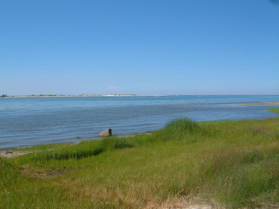 Cape Cod