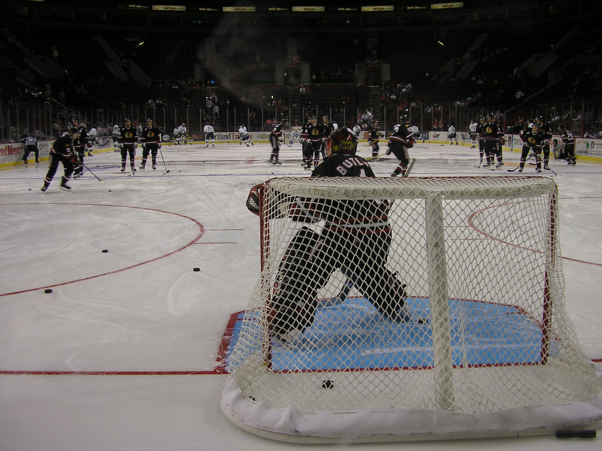 Winter Hawks Pictures