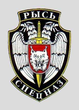 EMBLEMAS DE LA POLICIA DE RUSIA - RUSSIA POLICE PATCHES