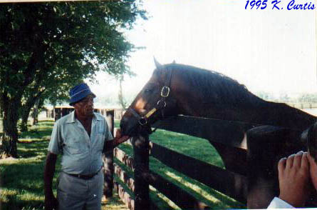 EVEN MORE KENTUCKY STALLIONS!