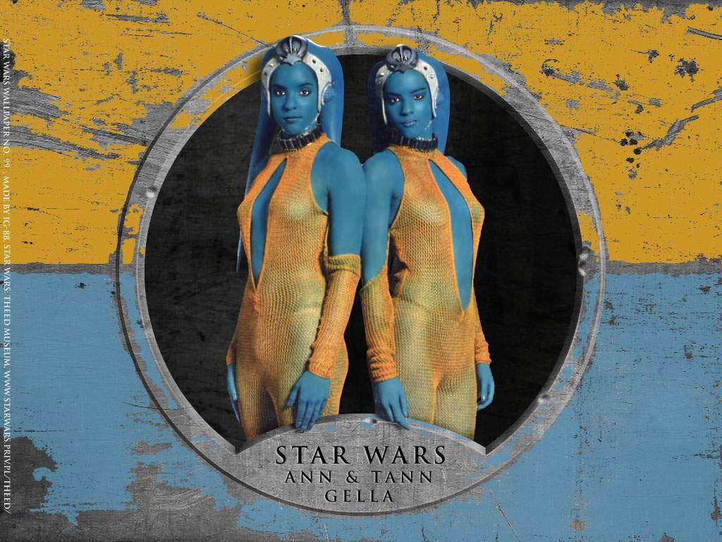 Ann & Tann Gella