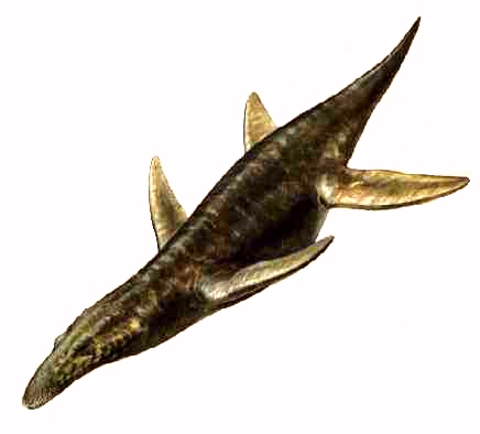Liopleurodon - JungleKey.fr Image #100