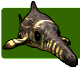 Ophthalmosaurus