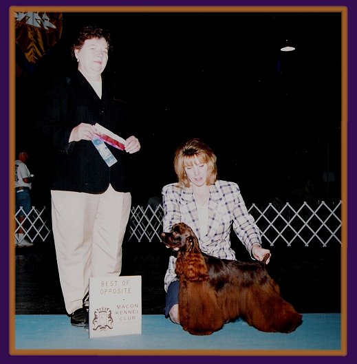 CH JEMS LOVES CHOCO NUT AURORA "AURORA"