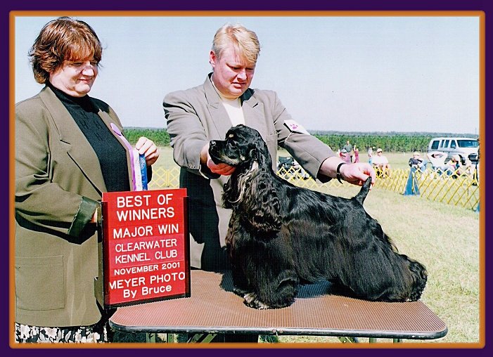 CH JEM'S IMAGE OF D-ZIRE "DESDAMONA"