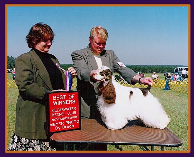 JEMS HEAVENLY GARDEN OF EDEN "EDEN"