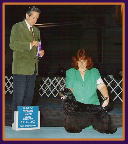 CH JEM'S LOVES BLACK MAGIC "HOUDINI"