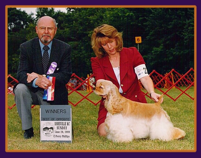 CH KIM-MAR'S KOLLEEN "KOLLEEN"