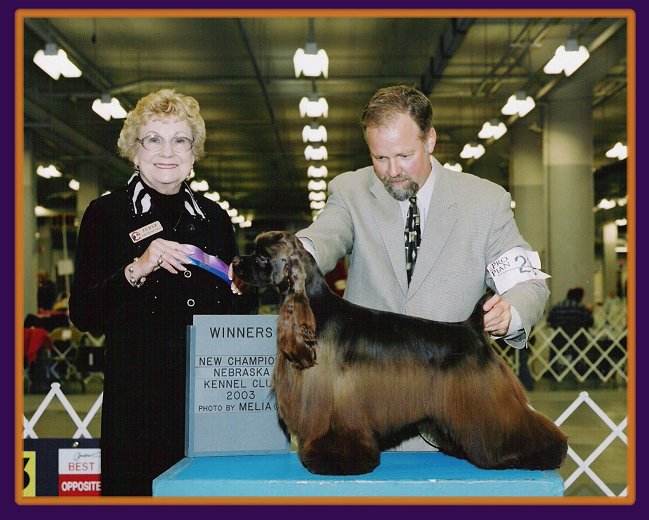 CH SHAMAN'S HURRICANE LILY "LILY"