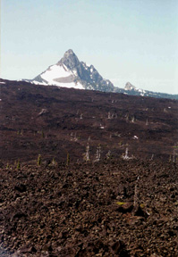 This is Mt Washington (7,794 feet) to the north of the observatory. The ...