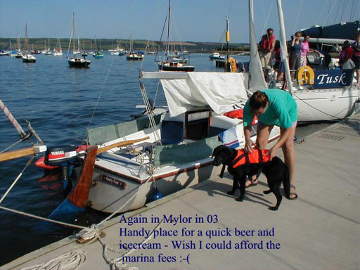 The Alacrity 19 website