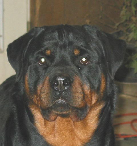 Ethan