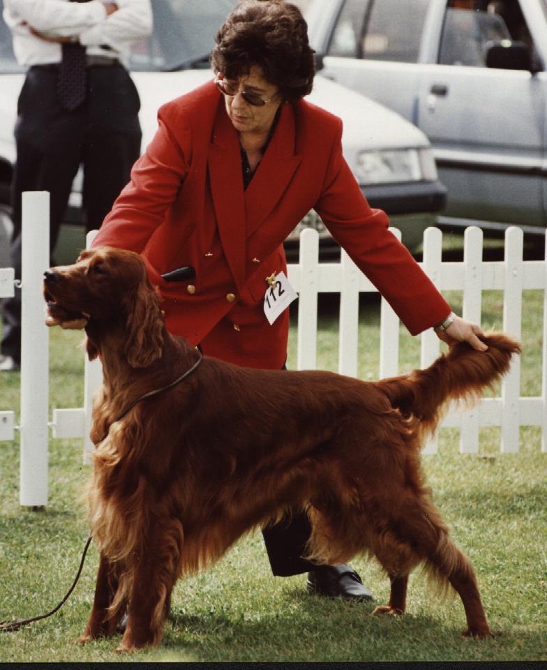 index [www.geocities.ws]