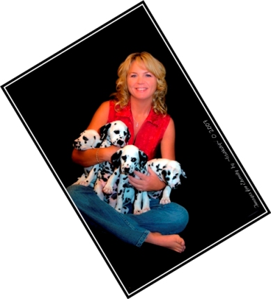 index [www.geocities.ws]