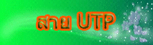 ::สาย UTP::--> สื่อกลางส่งข้อมูลแบบใช้สาย