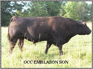 index [www.geocities.ws]