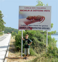 Macaklin moj prijatelj - Gecko my Friend