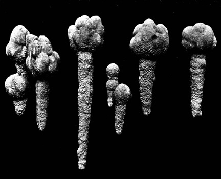 The Mars Spherules Are Concretions Hypothesis