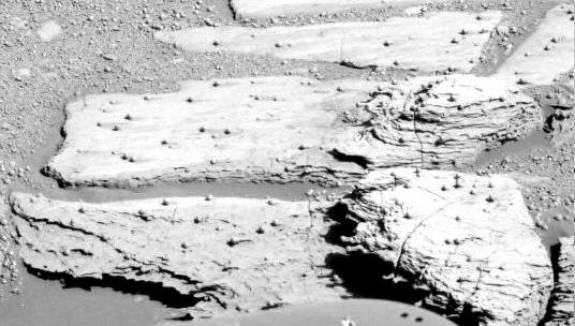 The Mars Spherules Are Concretions Hypothesis