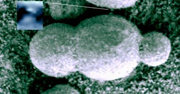 The Mars Spherules Are Concretions Hypothesis