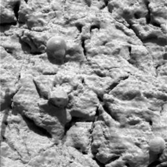 The Mars Spherules Are Concretions Hypothesis