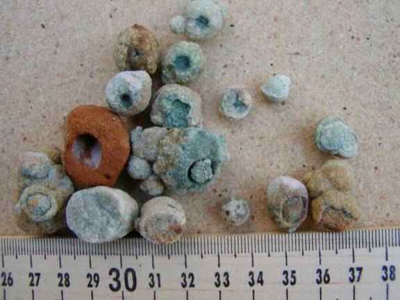 The Mars Spherules Are Concretions Hypothesis