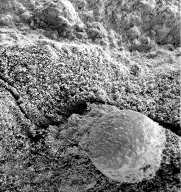 The Mars Spherules Are Concretions Hypothesis