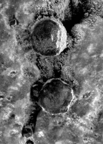 The Mars Spherules Are Concretions Hypothesis