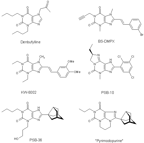 Gram Scale