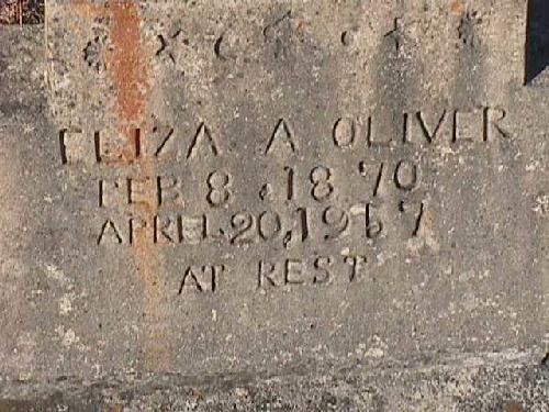 (photo courtesy of Don Luman)