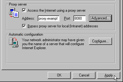 Entering a Proxy in Internet Explorer 4