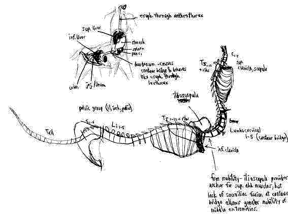 Tribute to the Wemic