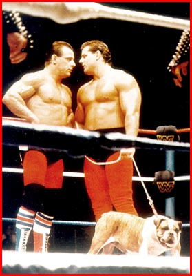 Dynamite Kid